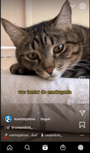 Como descobrir as músicas em alta no Instagram